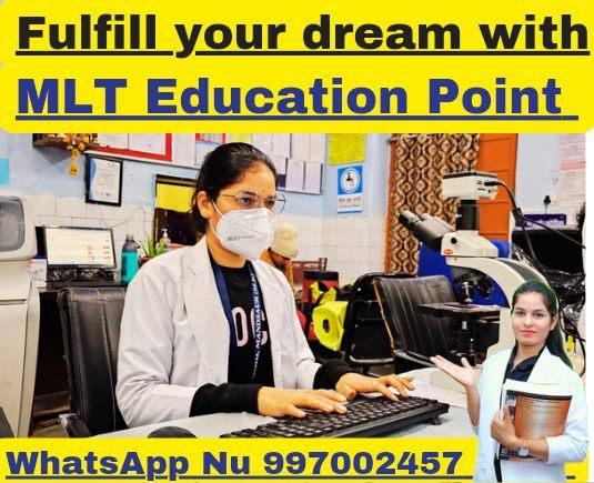 mlt education point