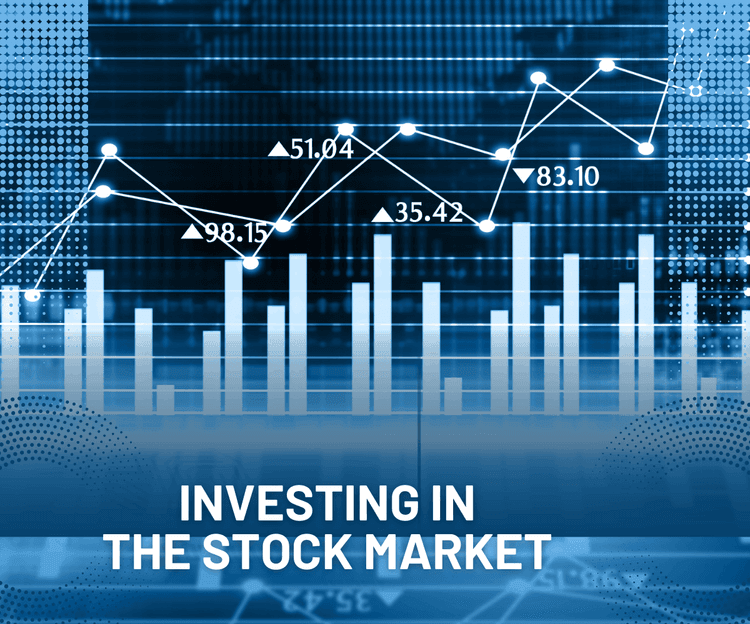 Learning page - VjFInCap