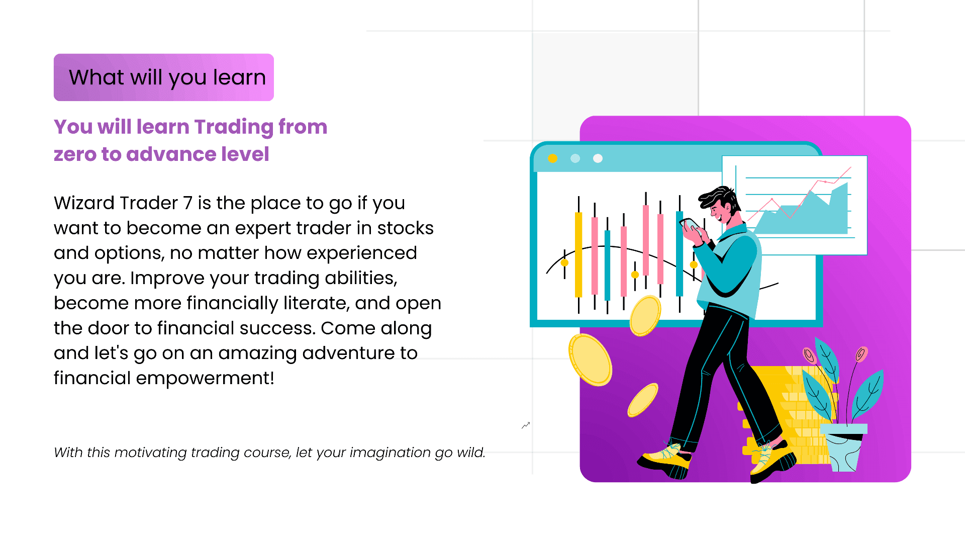 About Us - Wizard trader 7