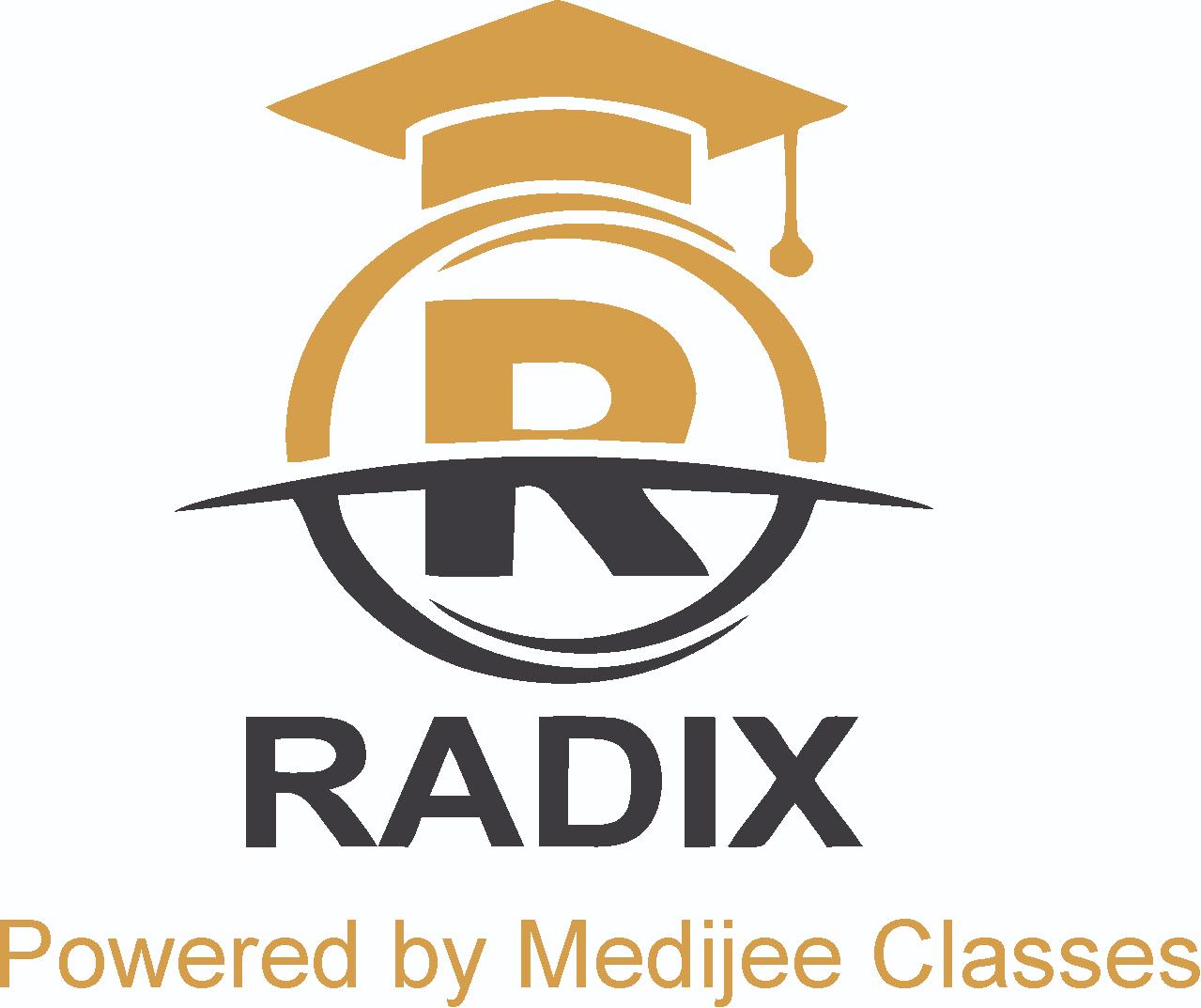 About Us - RADIX